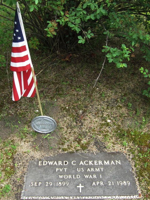 Dan Lidster’s vision | Torch Lake Views